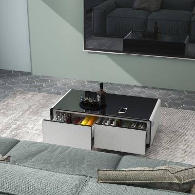 Cina 135L doppia porta di ricarica USB Refrigeratore con compressore in vendita
