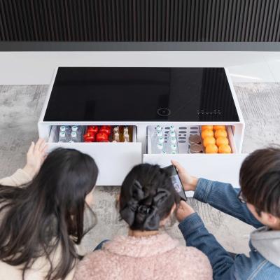 중국 고급 무선 충전과 냉장고 판매용