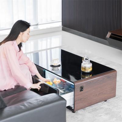 China Tipo de refrigeração de resfriamento direto Tabela de geladeira moderna personalizada para sala de estar inteligente à venda