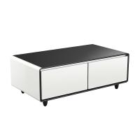 China Customized Color Wine Cooler Fridge Smart Coffee Table Dual Compressor App-Controlled for sale