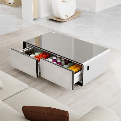 China Primst Smart Refrigerator Grade 3 Energy Efficiency Rating and Water Outlet for Convenient for sale