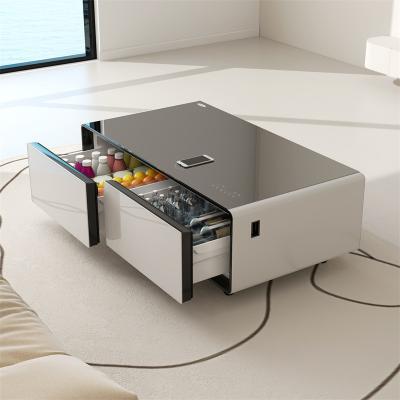 China Primst Custom Commercial Cans Bottle Drink Mini Refrigerator for Small Hotel and Bar for sale