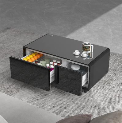 Produit réfrigérateur 93L Caisse de refroidissement de cave à vin Pour la décoration de la maison écologique