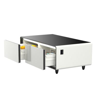 China Thermoelectric Cooling Dual Door Refrigerator with Smart Coffee Table and Private Mold for sale