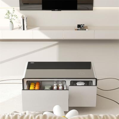 Cina Classificazione di efficienza energetica di grado 2 Refrigeratore per lettori musicali per salotto di lusso in vendita