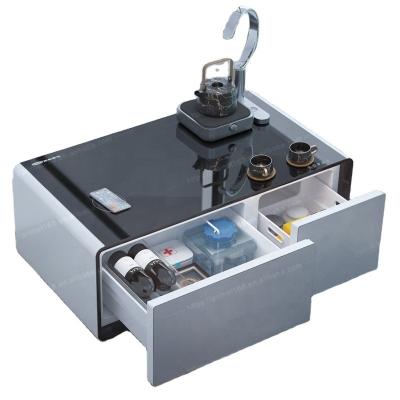 Cina Living Primst Mini Coffee Table con frigorifero e ricarica wireless in vendita