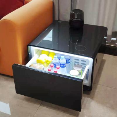 Cina Refrigeratore da tavolo con ricarica wireless per trucco e prodotti di bellezza in nero in vendita