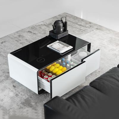 中国 2024 スマートコーヒーテーブル冷蔵庫 温度範囲 3 8 C/6- 12 C 折りたたみ NO 販売のため