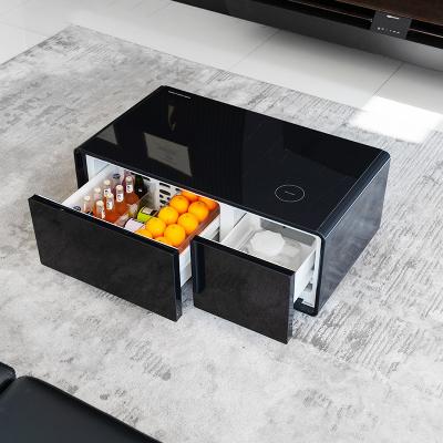 Cina 2024 Smart Coffee Table Mini Wireless Charging Refrigeratore a doppia porta per mobili da soggiorno in vendita