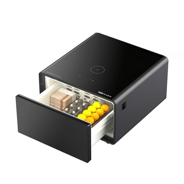 65L Capacity Smart Coffee Table Refrigerator with Wireless Charging and Concise Design