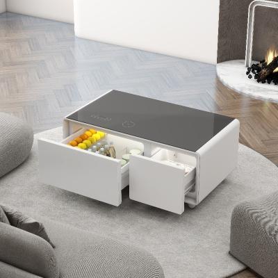 China Frigorífico de carregamento sem fio de mini bar compacto 220V para armário de armazenamento de vinhos e bebidas à venda
