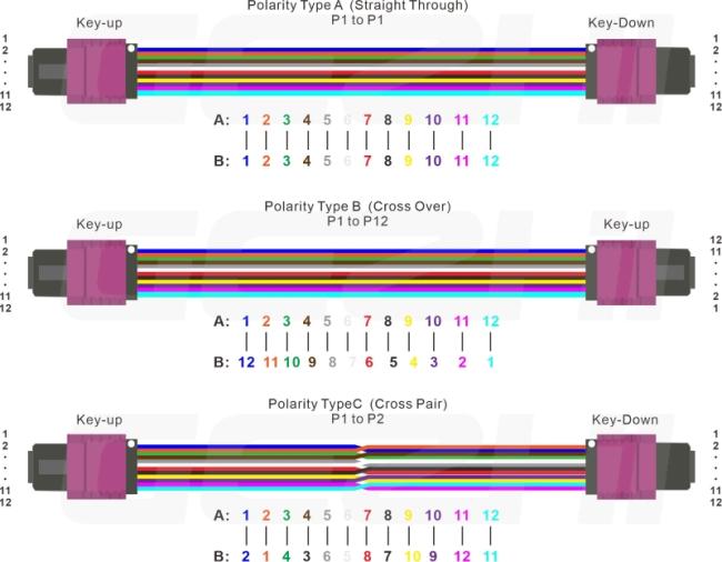 OM4 MPO patch cord.jpg