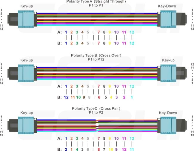 MPO patchcor polarity1.jpg