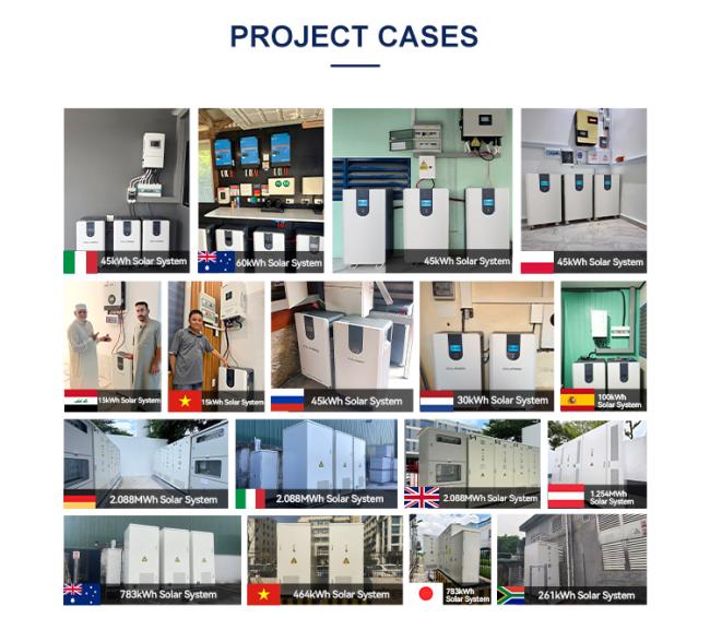 EXLIPORC customization services and capabilities