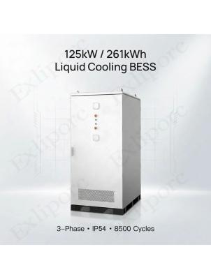 China 125kW/261kWh Liquid-Cooled Energy Storage Cabinet with IP54/IP55 Protection for Industrial and Commercial Use for sale