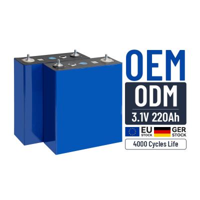 China Exliporc High Performance 12V Prismatic Cell 220Ah 3.1V Sodium Ion Battery OEM ODM High Efficiency Prismatic Battery for sale