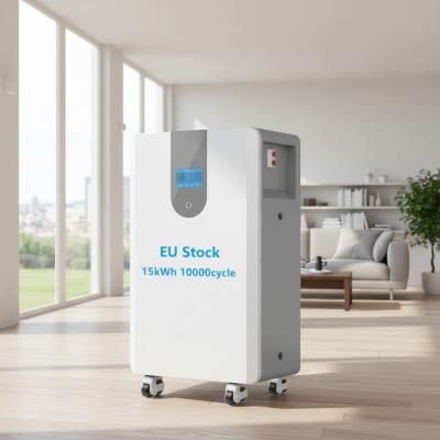 China Home Energy Storage 51.2V 16S 15kWh 300Ah LiFePO4 Battery with Smart BMS WiFi Hybrid Grid Support for sale