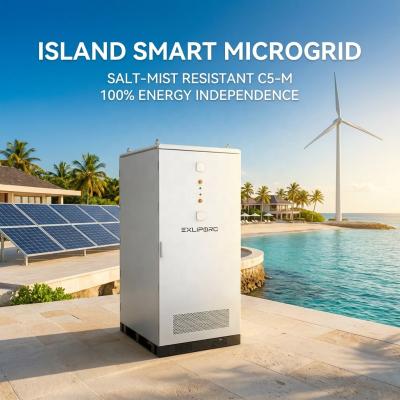 China 125kW 261kWh Island Smart Microgrid BESS Salt Mist Resistant Solar Wind Hybrid Energy Storage for sale