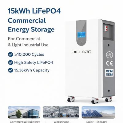 China 15kWh 51.2V LiFePO4 Commercial Energy Storage Battery with 10000 Cycles for Solar Systems for sale