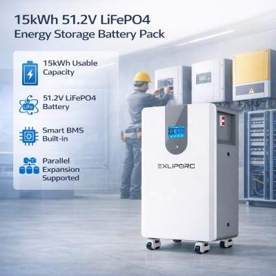 China 15kWh 51.2V LiFePO4 Energy Storage Battery Pack with 10000 Cycles for ESS Projects for sale