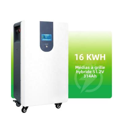 China 51.2V 15kWh LiFePO4 Lithium Battery for Solar Energy System with CE Certification and Fast EU Delivery for sale