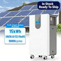 Quality EXLIPORC 51.2V 15KWh 300Ah LifePo4 Battery Powerwall Home Storage Built-in BMS for sale