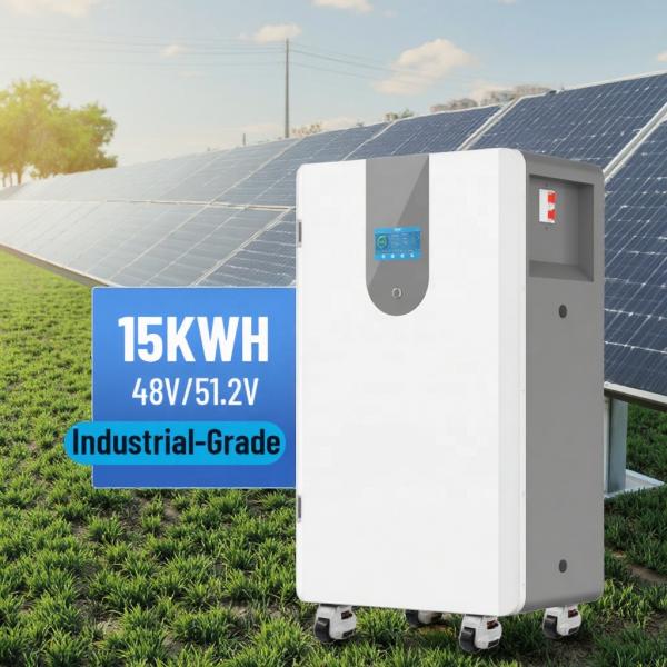 Quality EXLIPORC 51.2V 300Ah 8000 Cycles Lifepo4 Lithium Battery for Solar Energy Storage System for sale