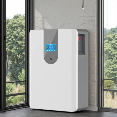 China Powerwall 51.2V 100Ah 5kWh Solar Home Energy Storage Battery Wall Mountable Lithium Ion Hybrid Grid CAN Lifepo4 Rechargeable BMS for sale