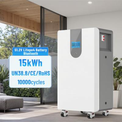 China Solar Battery Storage System Split Home Energy 51.2V 100Ah 200Ah 300Ah 5kWh 10kWh 15kWh Wall/Floor-Mounted Hybrid Grid Battery for sale