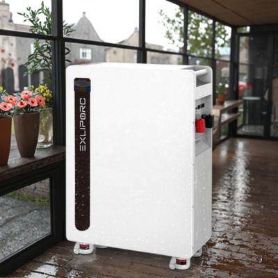 China Hybrid Grid Split 15kWh LiFePO4 Lithium Battery 16kW 51.2V 314Ah 10000-Times Cycle Life 48V 200Ah Solar Energy Storage CAN IP65 for sale