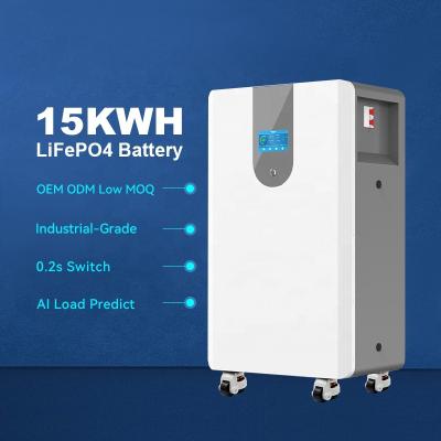 China Manufacturers 51.2V 300ah 600ah 900ah 15kwh 30kwh Lithium Ion Battery OEM 46kwh Lifepo4 Battery With Smart Bms for Home ESS for sale
