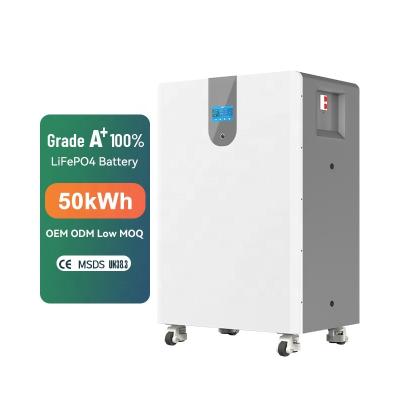 China 48V/51.2V LiFePO4 Battery with 8000+ Cycles and Built-in BMS Protection for Solar Energy Storage for sale
