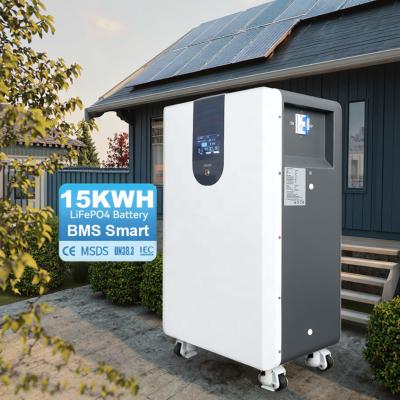 China 15kWh Capacity 51.2V LiFePO4 Battery for Home Energy Storage with Wall-Mounted Installation for sale