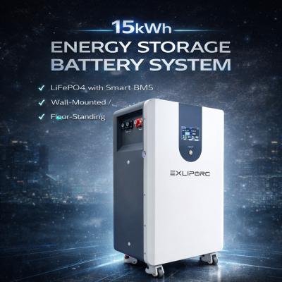 China 15kWh LiFePO4 Energy Storage Battery with Smart BMS CAN RS485 for Solar Applications for sale