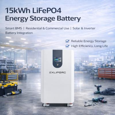 China 15kWh 51.2V LiFePO4 Energy Storage Battery Pack with Smart BMS for Home & Commercial ESS for sale