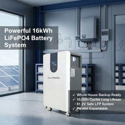 China 16kWh LiFePO4 Battery for Solar Energy Storage | 51.2V System Voltage 10kW Output Split Phase Compatible Hybrid Grid BMS for sale