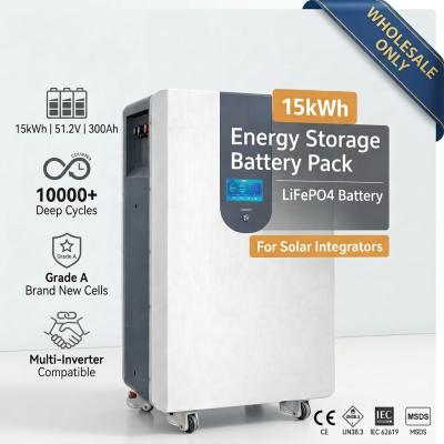 China 15kWh Hybrid Solar Storage Battery System 51.2V Split Phase Inverter Home ESS Lithium Battery 300ah for Solar Installers for sale