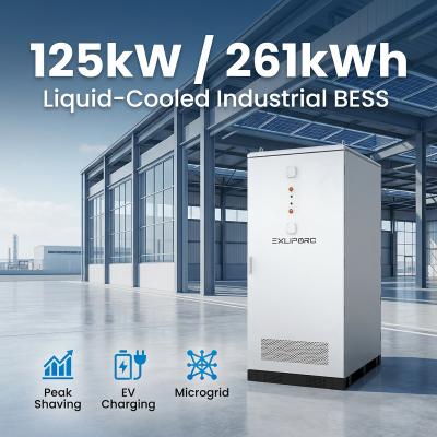 China Commercial & Industrial BESS with 85000+ Cycles, 50 KW To 1 MW Power Output, and 10 Year Warranty for Industrial Commercial Energy Storage for sale