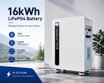 China IP65 Waterproof LiFePO4 Battery with 16kWh Capacity and 11000+ Cycles for Solar Energy Storage for sale