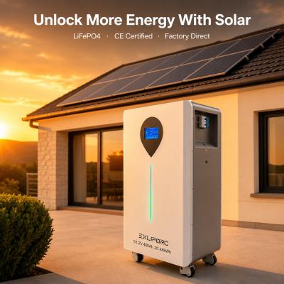 China EXLIPORC 20.48kWh 51.2V 400Ah LiFePO4 Home Battery (LVB20WTC) - Upgrade to 25% More Energy for sale