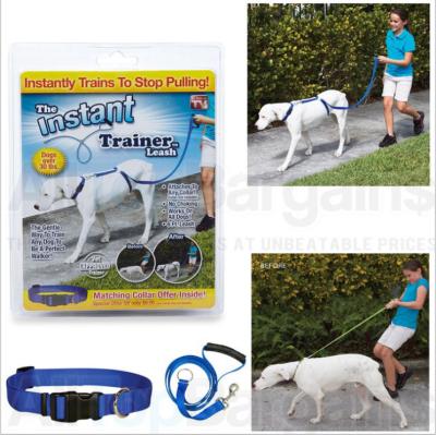 China Instant Perfect Trainer / Pet Rope /Dog Instant Trainer Leash  As Seen On Tv Nylon Dog Trainer Rope Over 30 Lbs Instant for sale