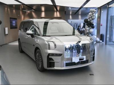 Cina 2022 ZEEKR Auto Elettrica ZEEKR 009 ME Versione Monovolume Medio E Grande in vendita