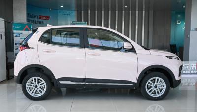 Cina 2022 Dayun Automobile EV Yuehu 300 5 Porte 5 Posti SUV Cltc 300Km in vendita