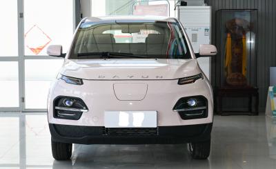 Cina 2022 Dayun Automobile EV Yuehu 300 5 Porte 5 Posti SUV Cltc 300Km in vendita