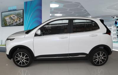 Cina Deluxe Edition 2022 Dayun Yuehu 300 5 Porte 5 Posti SUV Cltc 300Km in vendita