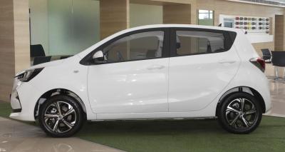 Cina NEDC 301 km di autonomia Changan Automobile EV Changan Benben E-Star 2022 in vendita