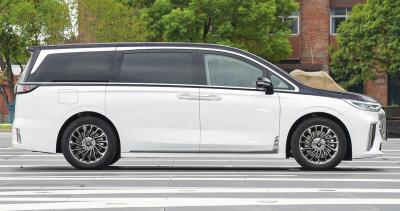 China Elektrische MPV VOYAH Dreamer 2022 Low Carbon-versie Think Intelligent Driving Te koop