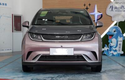 Cina Berlina elettrica 5 porte 5 posti BYD Dolphin 2021 401 km Knight Edition in vendita