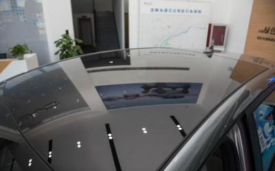 Cina Berlina elettrica 5 porte 5 posti BYD Dolphin 2021 401 km Knight Edition in vendita