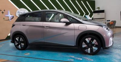Cina Berlina elettrica 5 porte 5 posti BYD Dolphin 2021 401 km Knight Edition in vendita